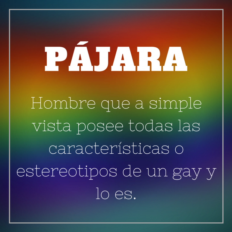 Glosario gay: descubre la magia detrás de la pájara, el chichifo y buga